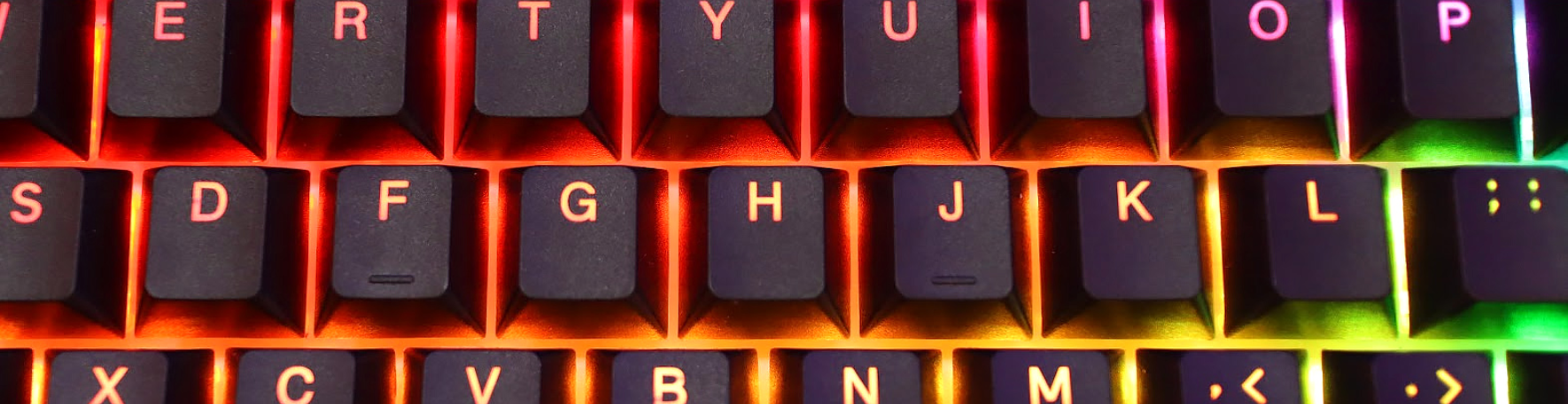 Animal Institute - 100% volunteer, 501(c)(3) charitable nonprofit ...